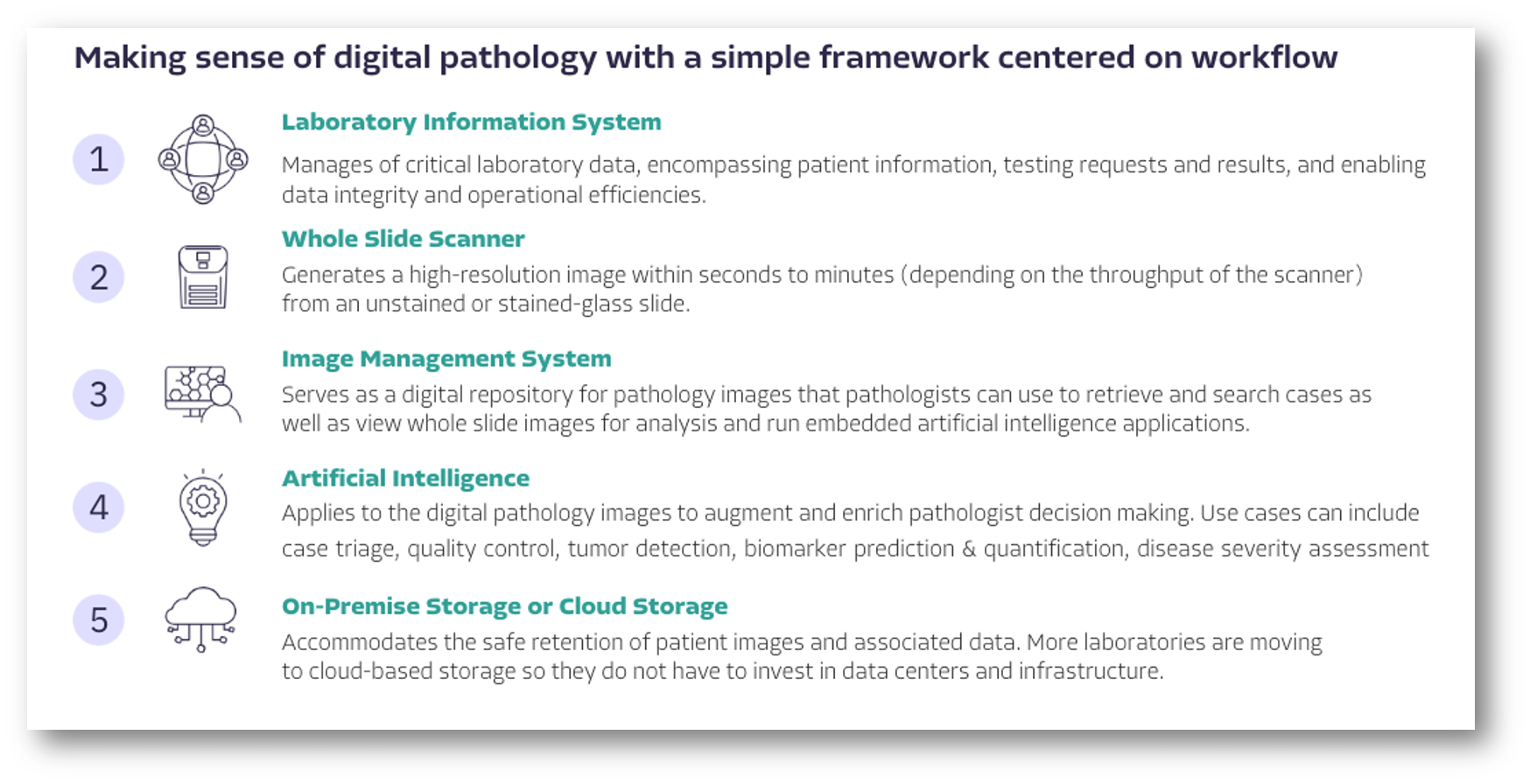 From Pixels to Precision 001: Making Sense of the Digital Pathology ...